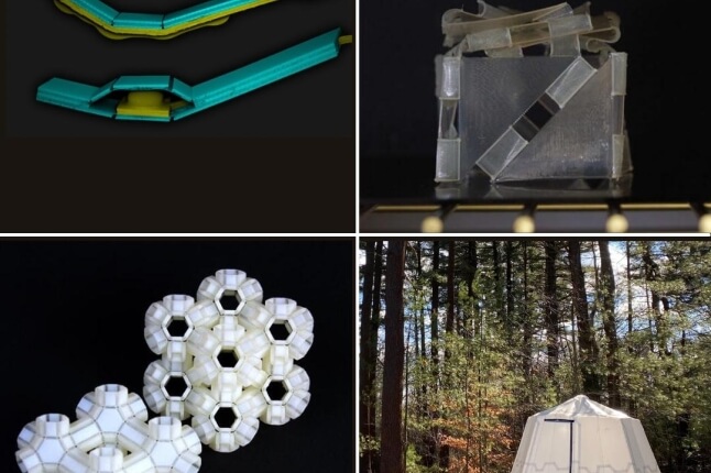 Katia Bertoldi | Harvard John A. Paulson School of Engineering and ...