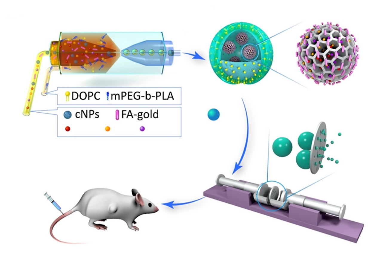 David A. Weitz | Harvard John A. Paulson School of Engineering and ...