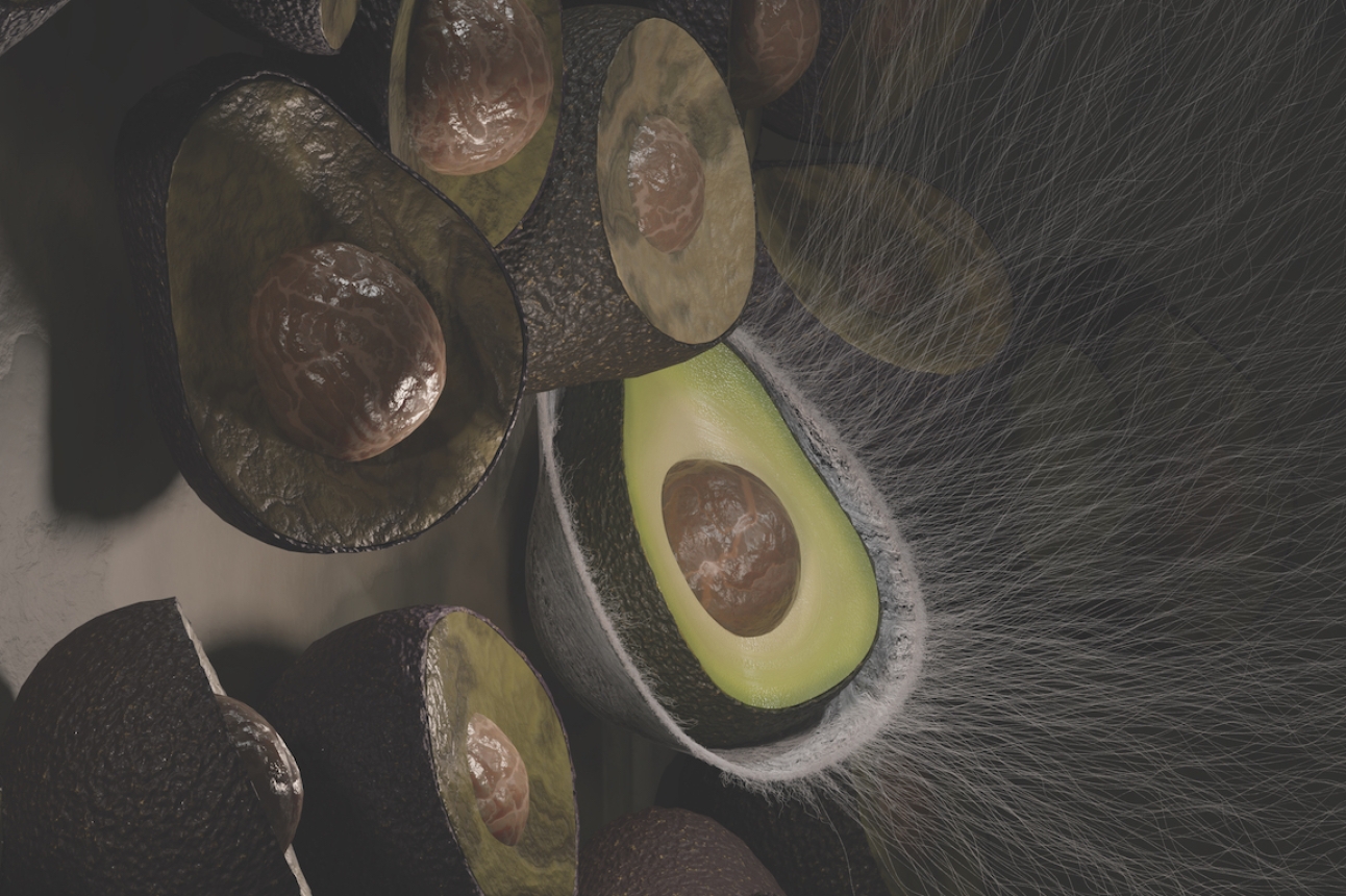 Transforming materials