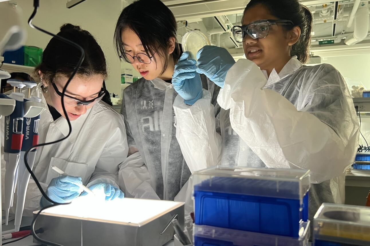 Active Learning Labs | Harvard John A. Paulson School of Engineering ...