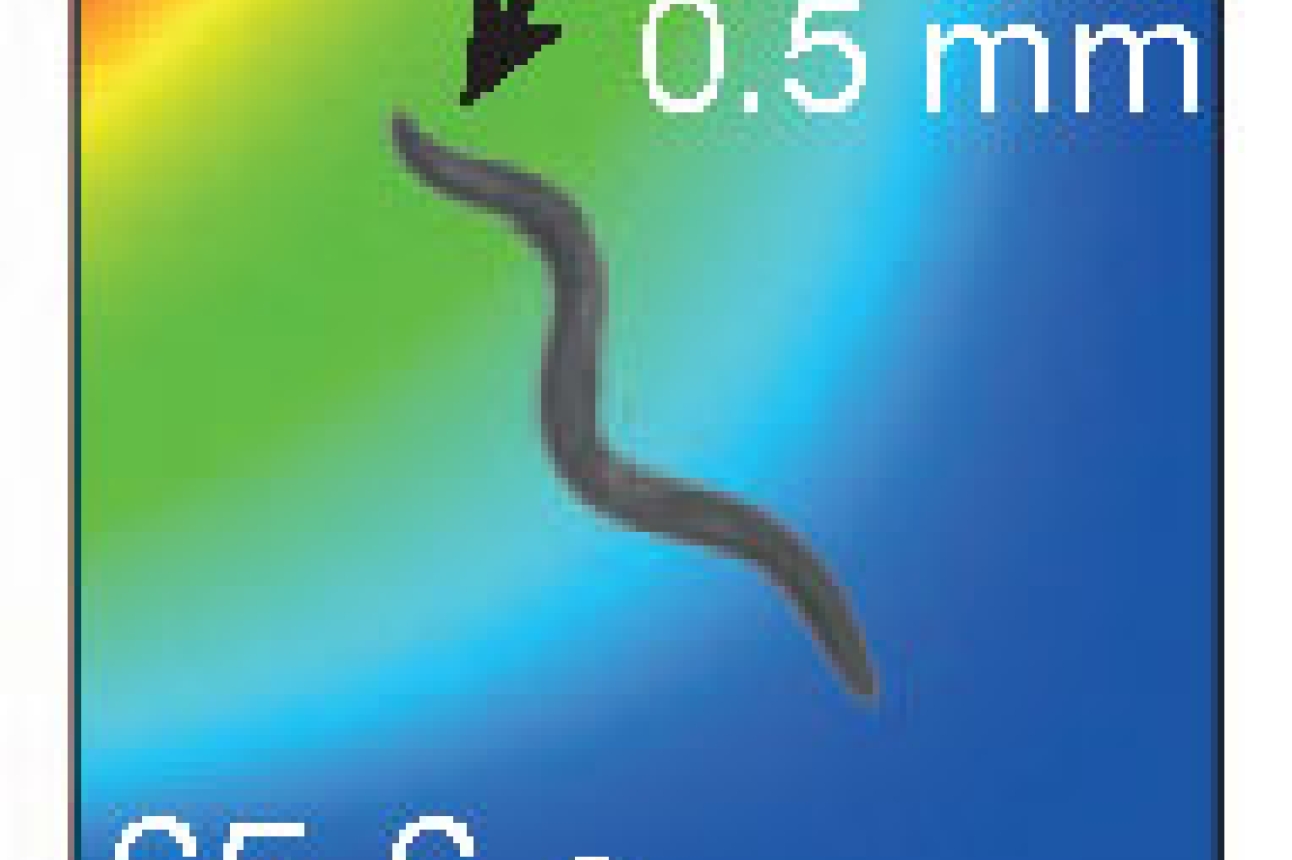 Sharad Ramanathan | Harvard John A. Paulson School of Engineering and ...