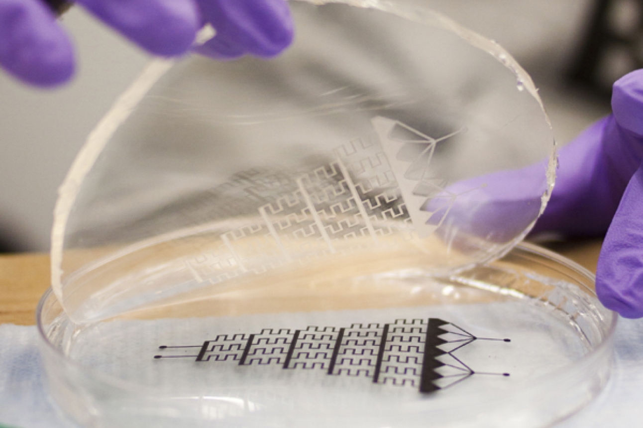 Robert M. Westervelt | Harvard John A. Paulson School of Engineering ...